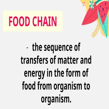 Energy pyramid lesson | PPT