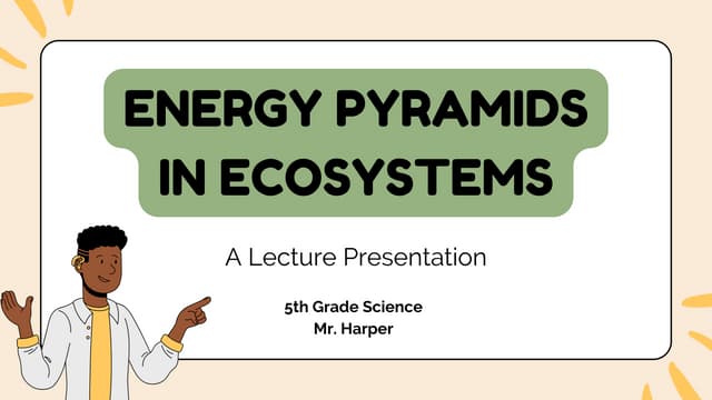 Energy pyramid lesson | PPT