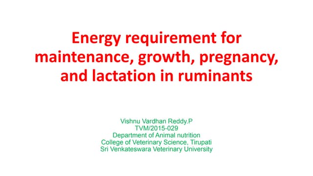 Nutrition during pregnancy | PPTX