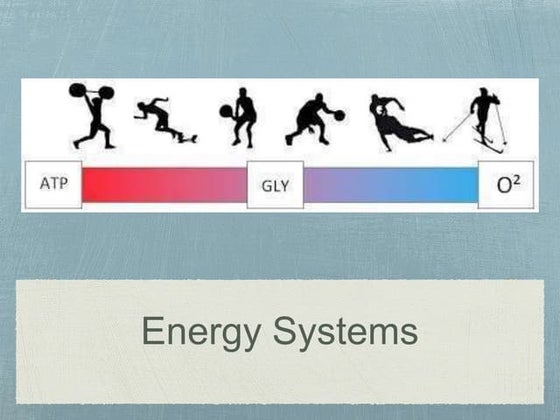 Grade 11 PE&Health Lesson 2: Energy systems | PPTX | Running and ...