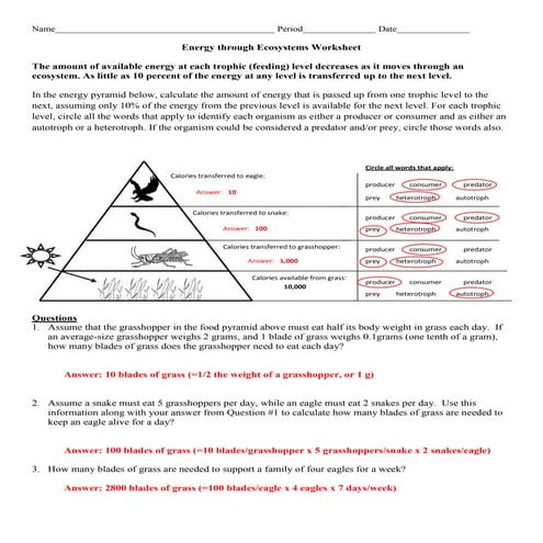 energy_through_an_ecosystem_worksheet_as.pdf