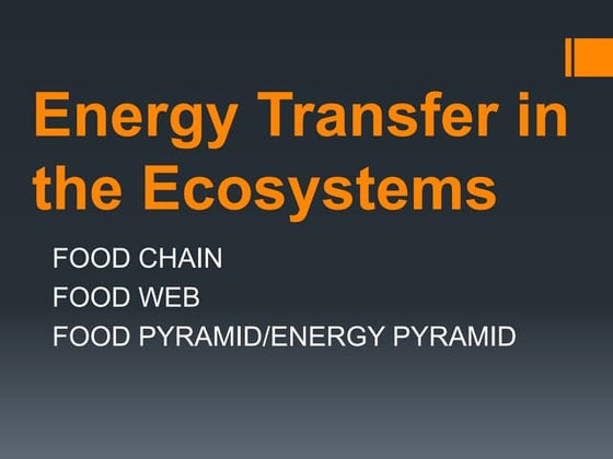 Energy Transfers 1 | PPTX