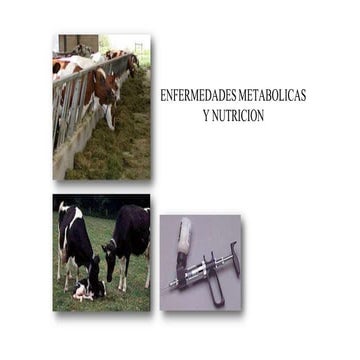 ppt enfermedades.pptx instituto agrario del sur | PPTX