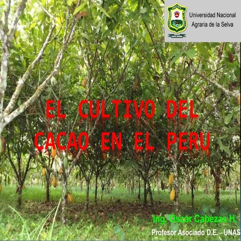 Enfermedades en sandia | PDF