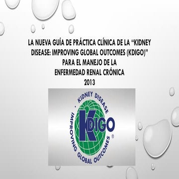 Enfermedad renal-cronica-kdigo-2013-1 | PDF