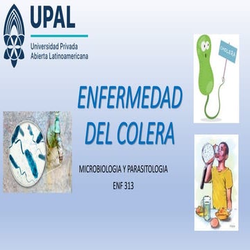 ENFERMEDAD COLERA.pdf