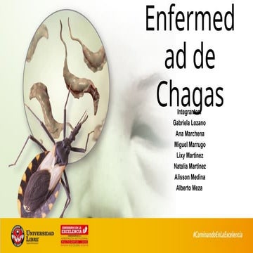 Enfermedad De Chagas Patogenia Y Tratamientopptx