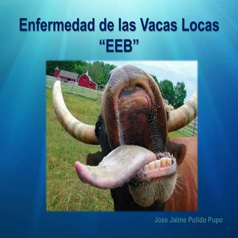 Enfermedad de las vacas locas | PPTX