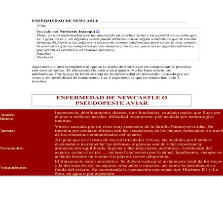 Enfermedad De Newcasle | DOC