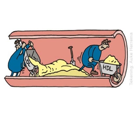 Curriculum Vitae-Mahaki | PDF