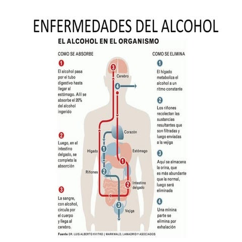 Enfermedades del alcohol | ODP