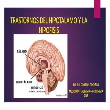 ENFERMEDADES DEL HIPOTALAMO Y LA HIPOFISIS.pptx