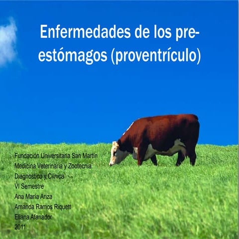 Enfermedades de los pre estómagos (proventrículo) | PPTX