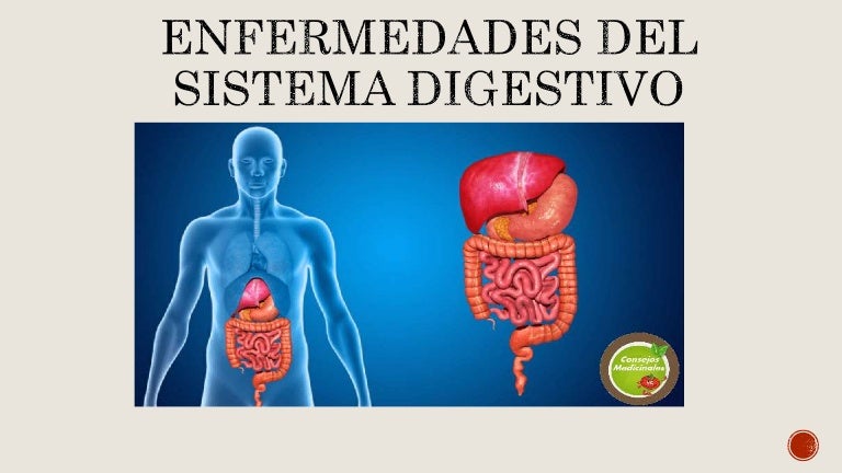 Foto De Enfermedades Del Sistema Digestivo