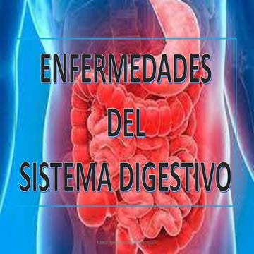 Enfermedades Del Sistema Digestivo Enfermedades Y Cuidados Del Sistema