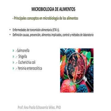 Enfermedades de transmisión alimentaria (ETA´s)..pptx