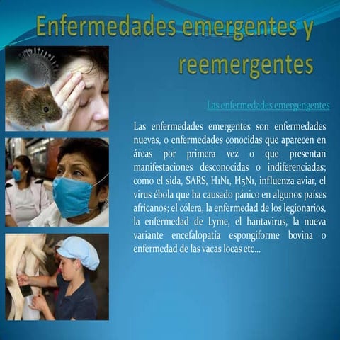 ETAPAS DE LA INVESTIGACIÓN DE UN BROTE. Epidemiología. LolaFFB | DOC