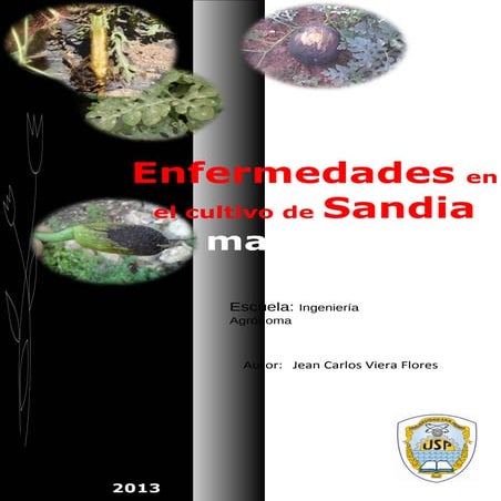 Enfermedades en sandia | PDF