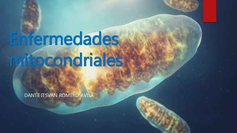 Enfermedades mitocondriales