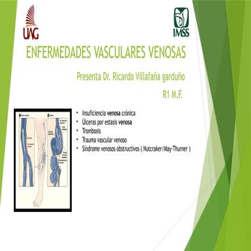 Clasificacion Ceap para varices | PPTX