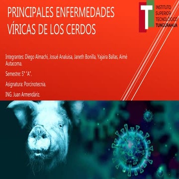 ENFERMEDADES VIRICAS.pptx