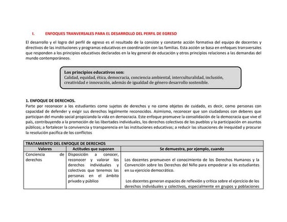 Enfoques transversales para el desarrollo del perfil de egreso de la ...