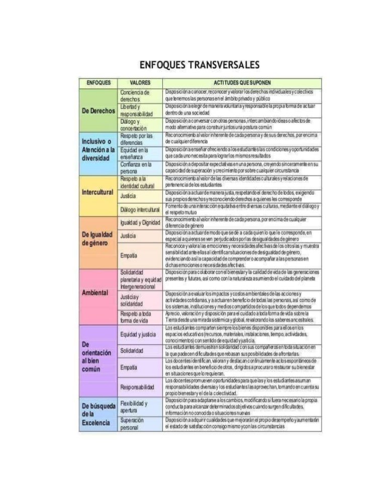 Enfoques transversales 2019