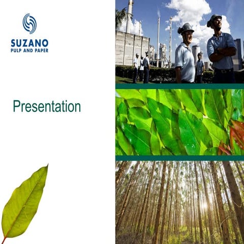 Institutional Presentation | PDF