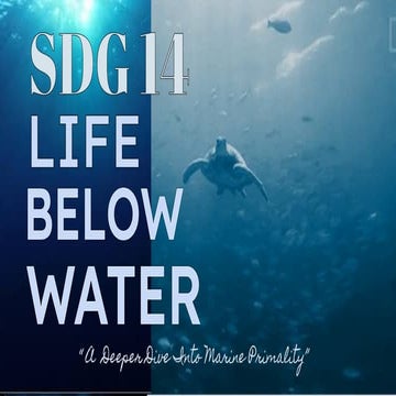 SUSTAINABLE DEVELOPMENT GOAL 14LIFE BELOW WATER (SDG 14) Brac ...