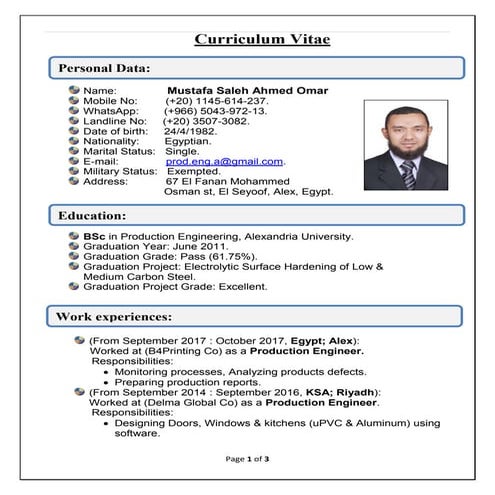 Eng Mustafa Saleh CV pdf | PDF