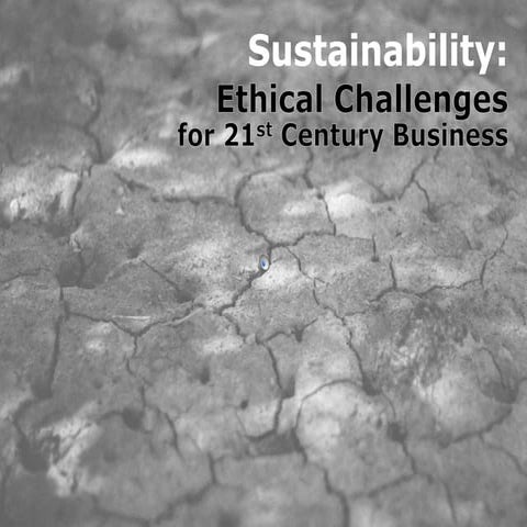 Sustainability: ethical challenges for 21st Century business | PPSX