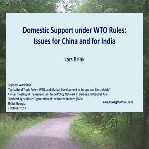 Domestic Support under WTO Rules: Issues for China and for India | PDF