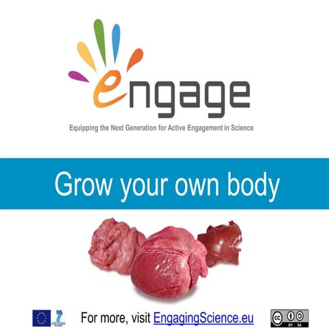 ENGAGE grow your own body | PPTX