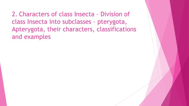 Insect thorax : Its areas, structure, function and modification in ...