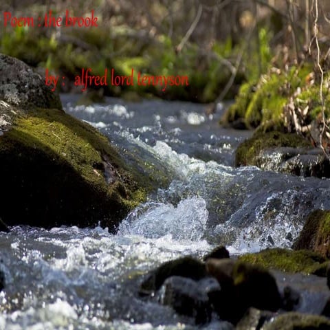The Brook Poem by Alfred Lord Tennyson | PPT