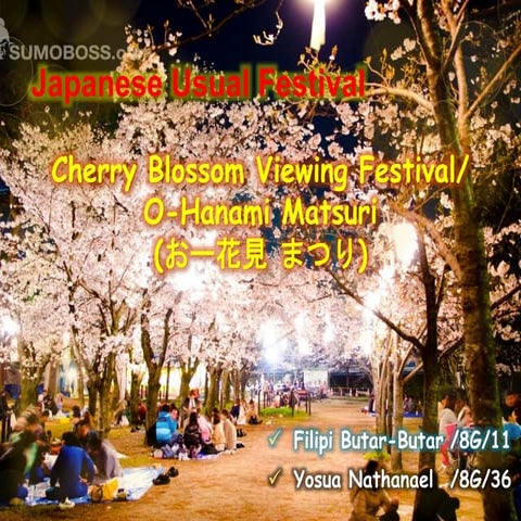Hanami Festival - Japan | PPTX