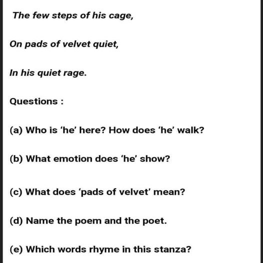 English assignment Class X (1).docx