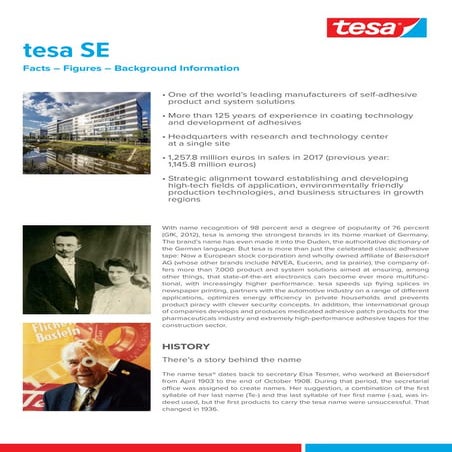 tesa fact sheet | PDF
