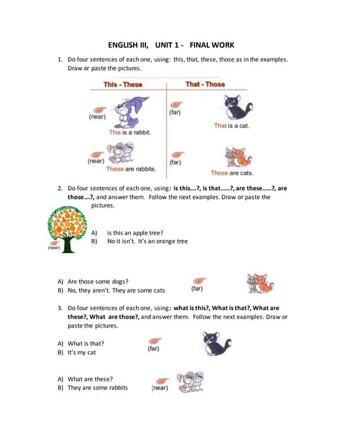 Possessive adjectives | PPTX