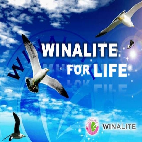 Winalite Opportunity | PPS