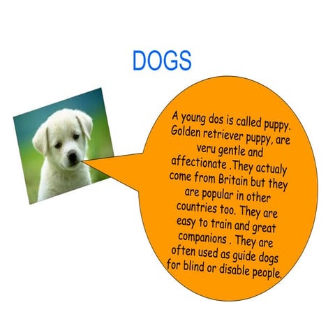 English pets | PPT | Dogs | Pets