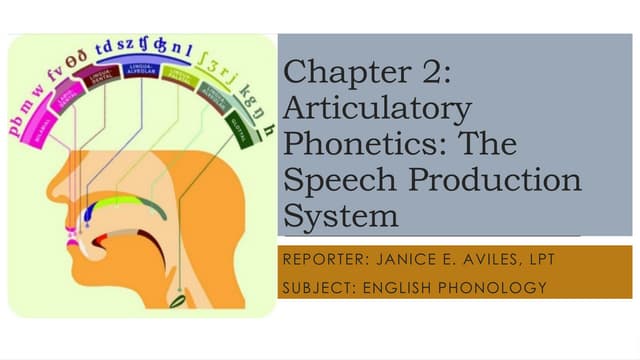 speech organs :Understanding the Mechanisms of Human Speech Production ...