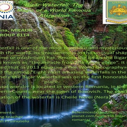 English Project | PDF