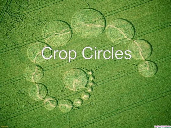 Crop Circle | PPT