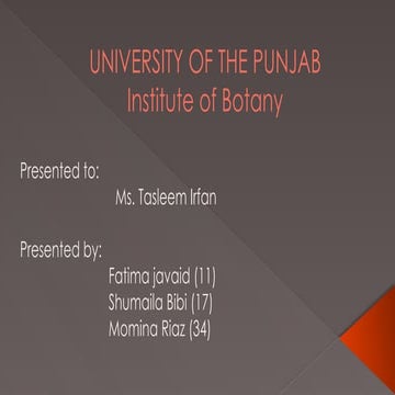 Electronic media english slides presentation | PPTX