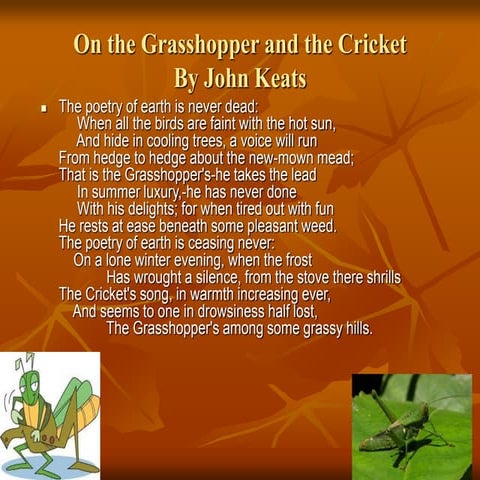 grasshopper and cricket.pdf