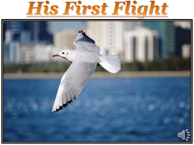A presentation on the chapter ‘his first flight’ | PDF