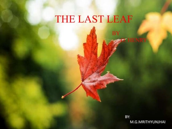 Plot analysis of last leaf | PPTX