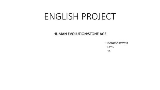 THE STONE AGE | PPT