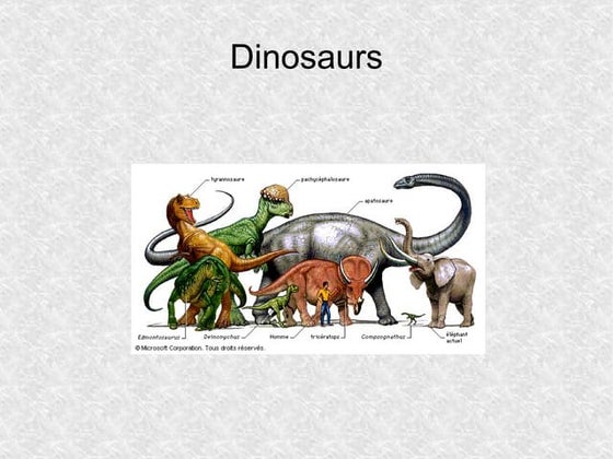 All about dinosaurs 1 | PPT | Reptiles | Pets